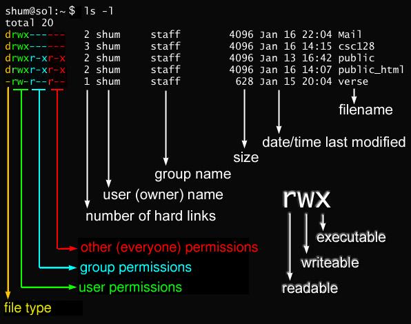 T m Hi u S u H n V Linux Permissions IzTuts